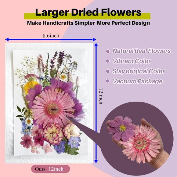 Art | New A4 Large Dried Pressed Flowers For Resin Purple Natural ...